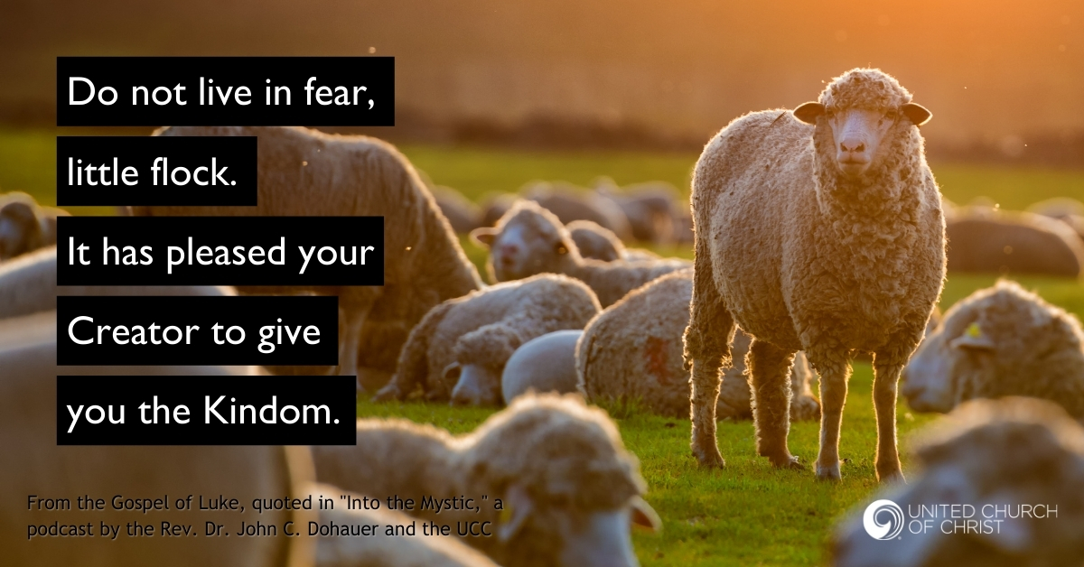 Have No Fear Little Flock