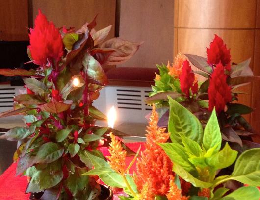 Sermon Seeds: Alive in Love - United Church of Christ