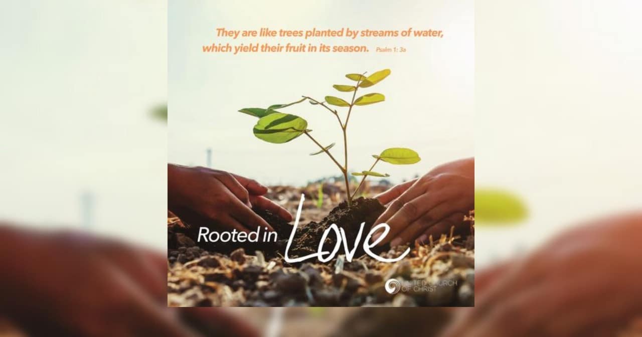 Pastors appreciate stewardship resources; ‘Rooted in Love’ now ...