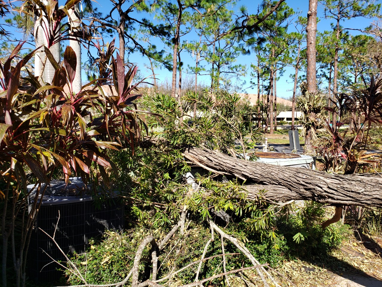 In the aftermath of Ian, community is key - United Church of Christ