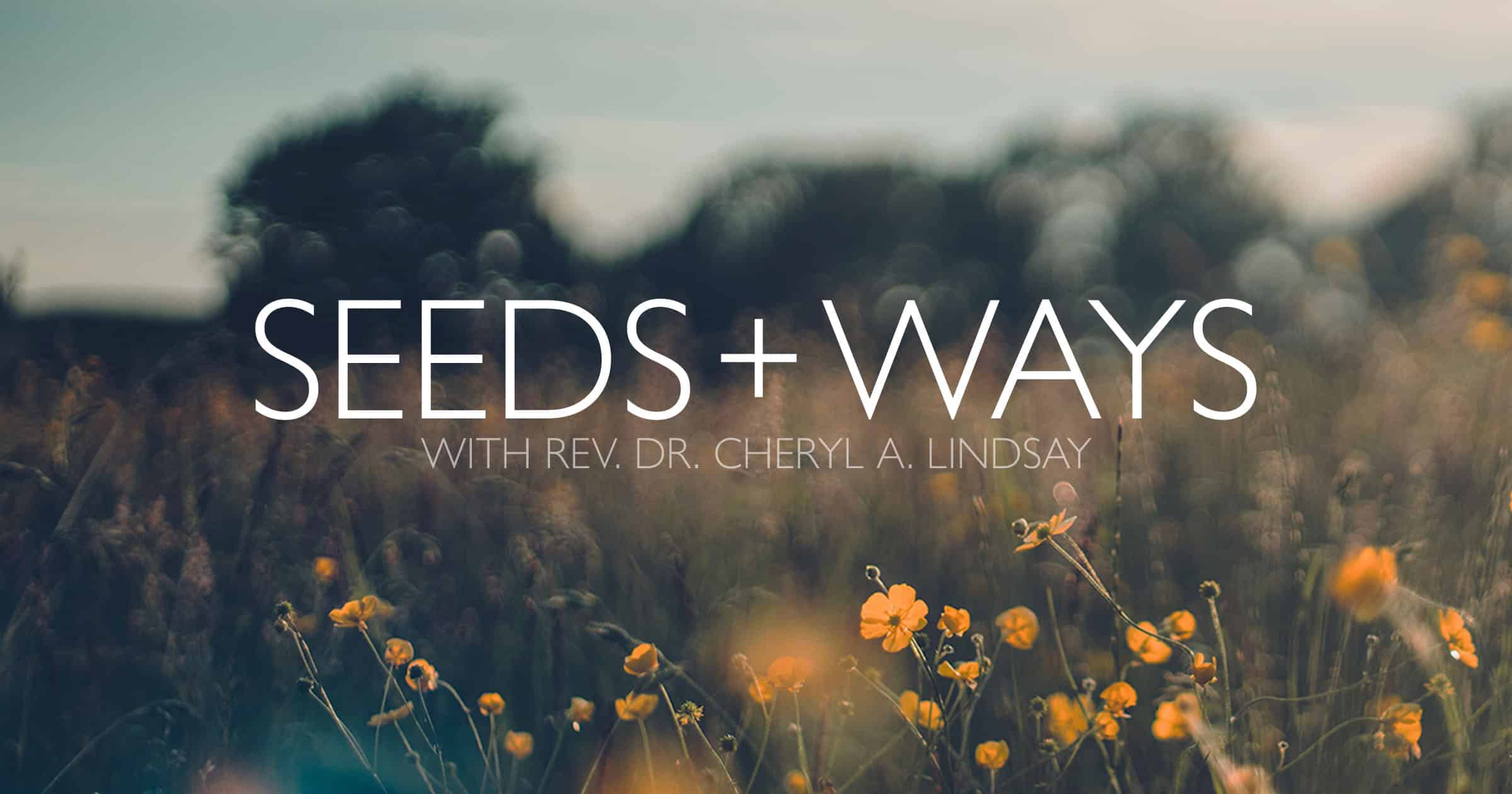 New podcast will offer accessible ‘Sermon Seeds,’ other worship ...