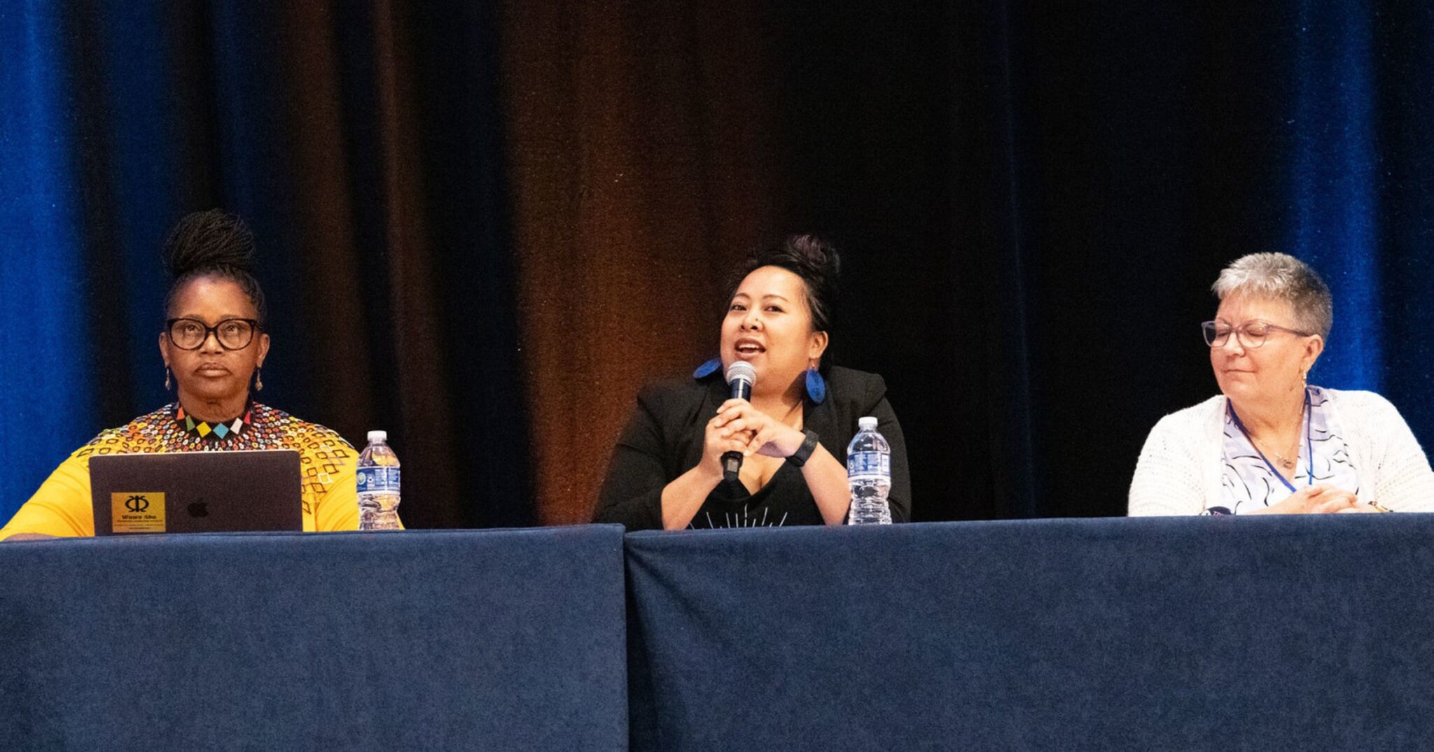 Advocates share ways to fight for reproductive rights during town hall ...