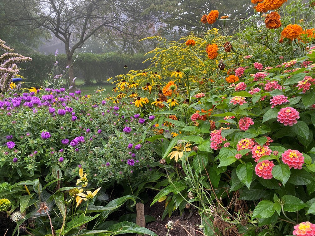 Church pollinator gardens in full bloom - United Church of Christ