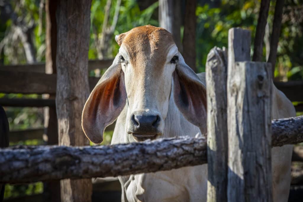 OGHS 2024 Downloadable Images - United Church of Christ