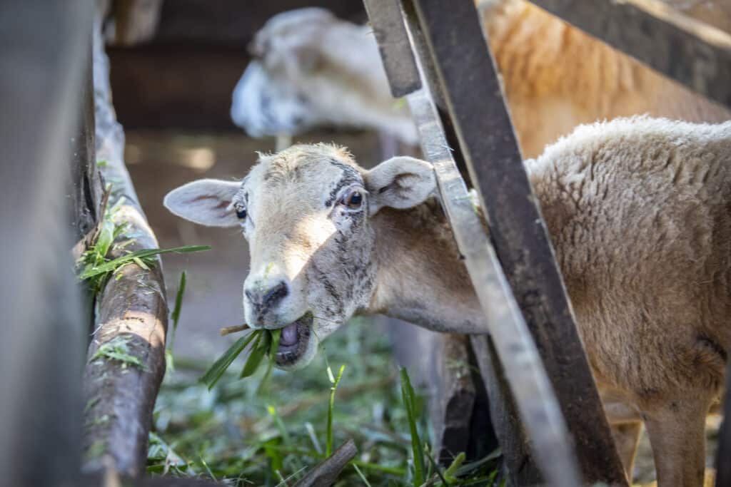 OGHS 2024 Downloadable Images - United Church of Christ