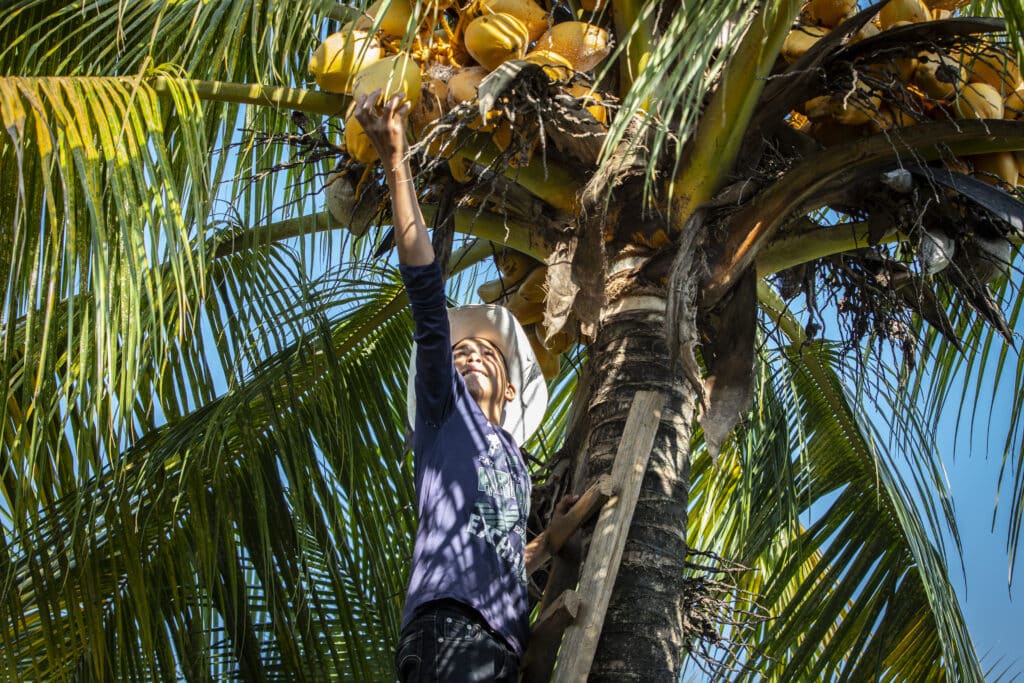 OGHS 2024 Downloadable Images - United Church of Christ