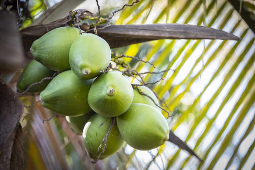 OGHS 2024 Downloadable Images - United Church of Christ