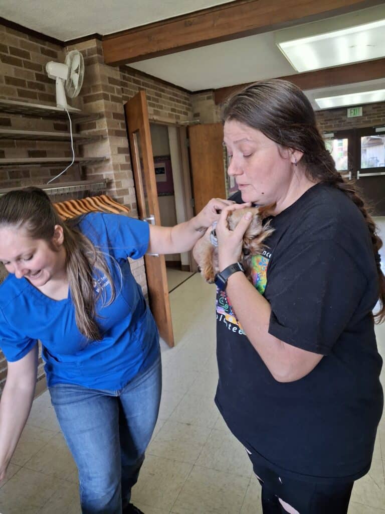 Going beyond the blessing: Churches emulate St. Francis' care for ...