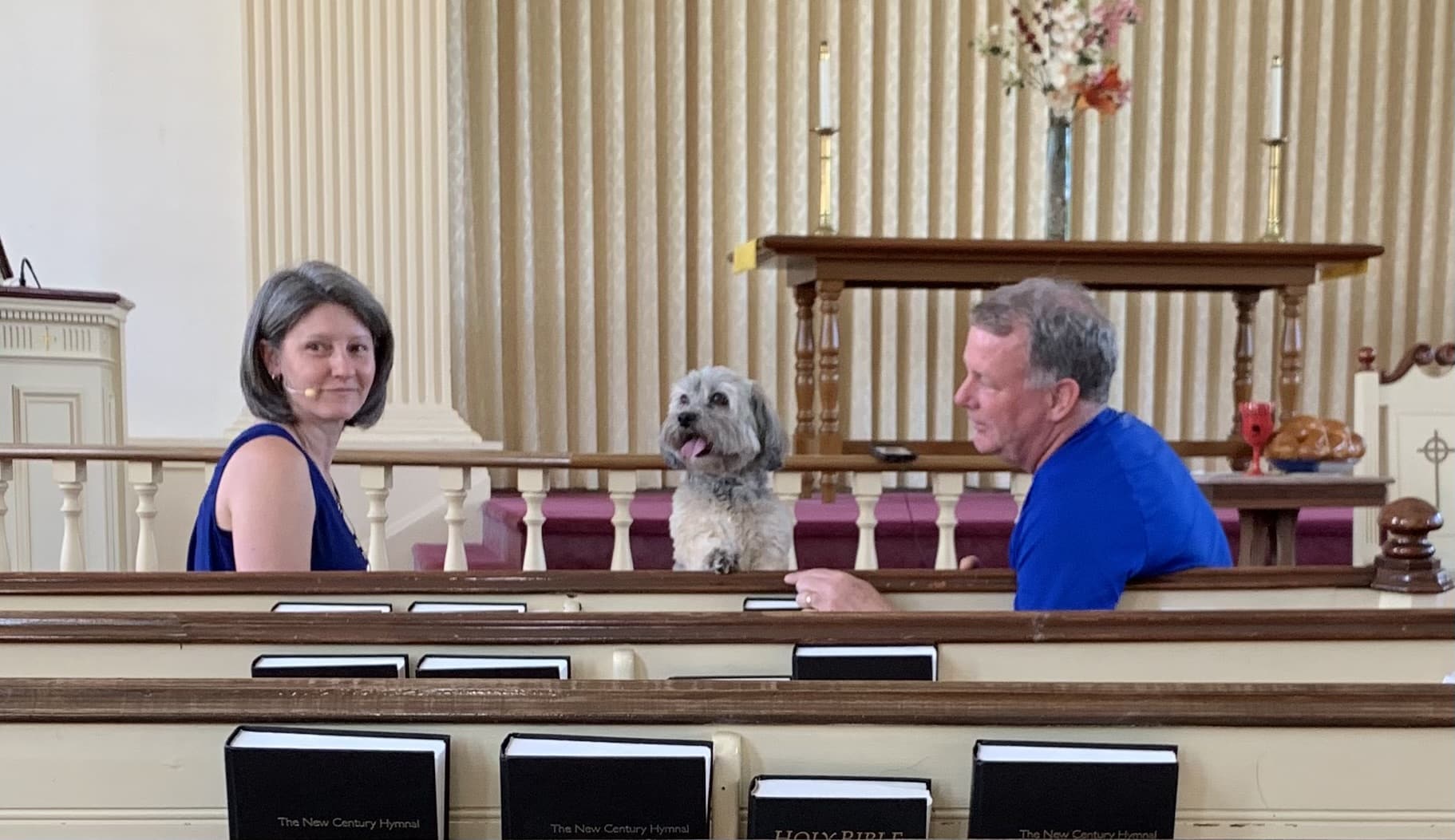 Going beyond the blessing: Churches emulate St. Francis' care for ...