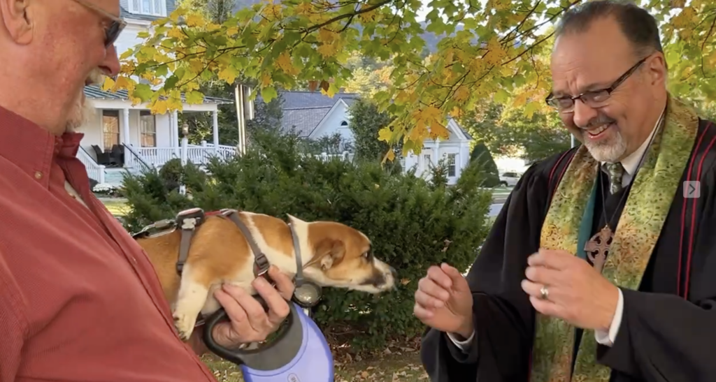 Going beyond the blessing: Churches emulate St. Francis' care for ...