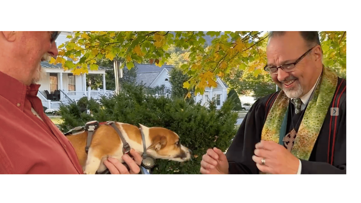 Going beyond the blessing: Churches emulate St. Francis' care for ...