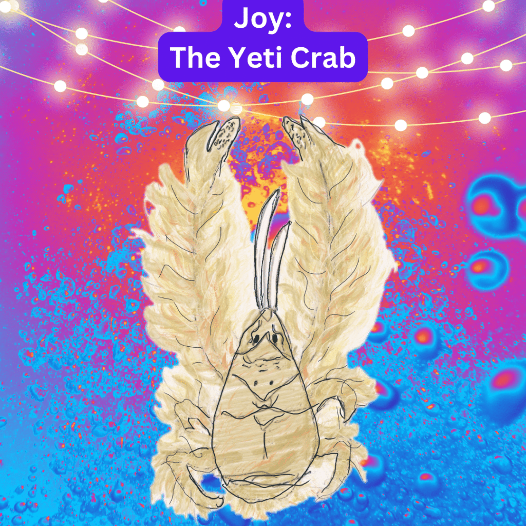 The Christmas Fund offering is underway: Resources added, deepening the Advent journey for all ...